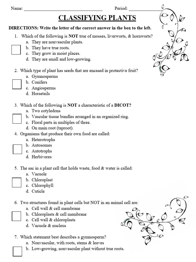 Classifying Plants | Download Free PDF | Plants | Leaf