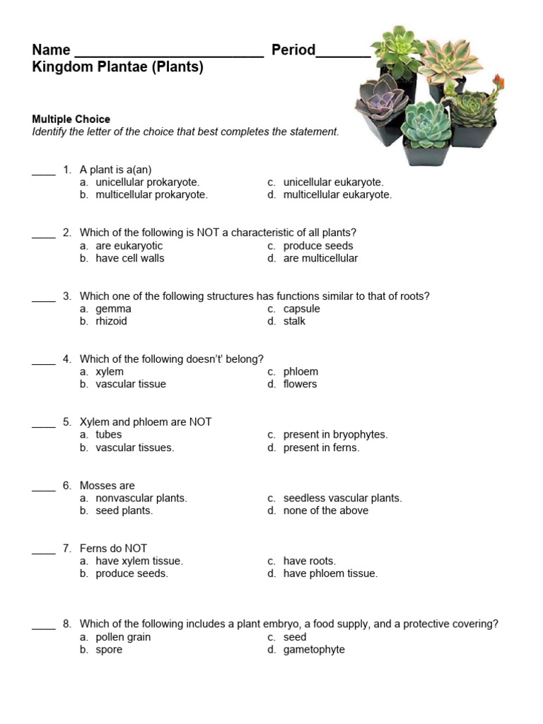 Kingdom Plantae Plants | PDF | Leaf | Plant Stem
