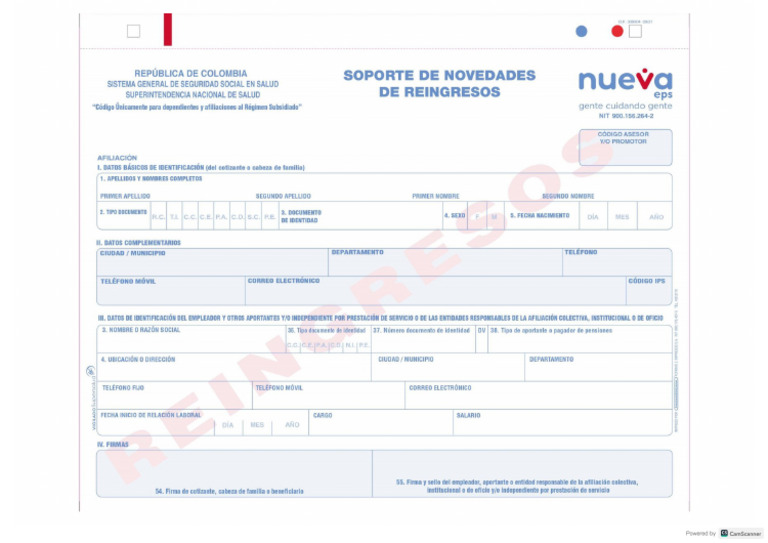 Formulario Reingresos - Media Carta Edit | PDF