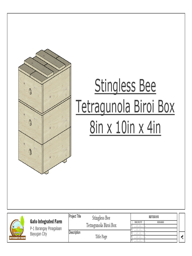 Biroi Hive | PDF | Apidae | Bees