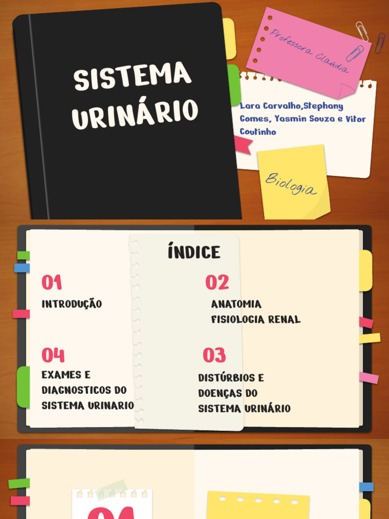 Sistema Urinário | PDF | Rim | Sistema urinário