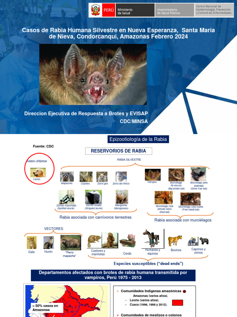 Rabia Humana - CDC | PDF | Rabia | Ciencias de la Salud