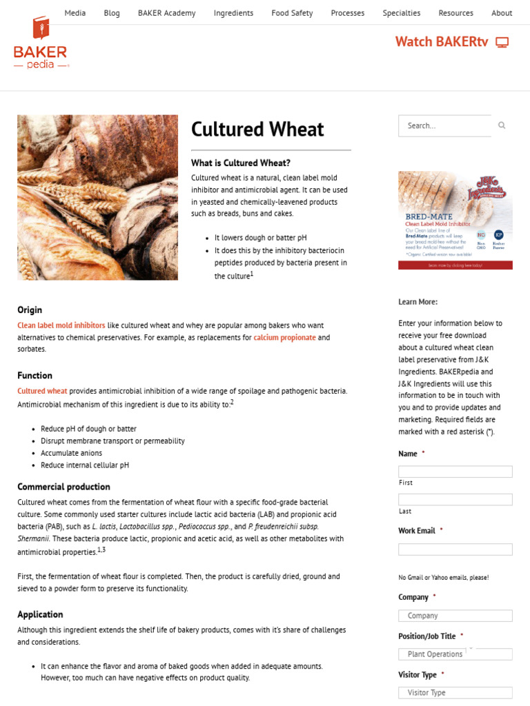 Cultured Wheat - Baking Ingredients - BAKERpedia | PDF | Sourdough | Breads