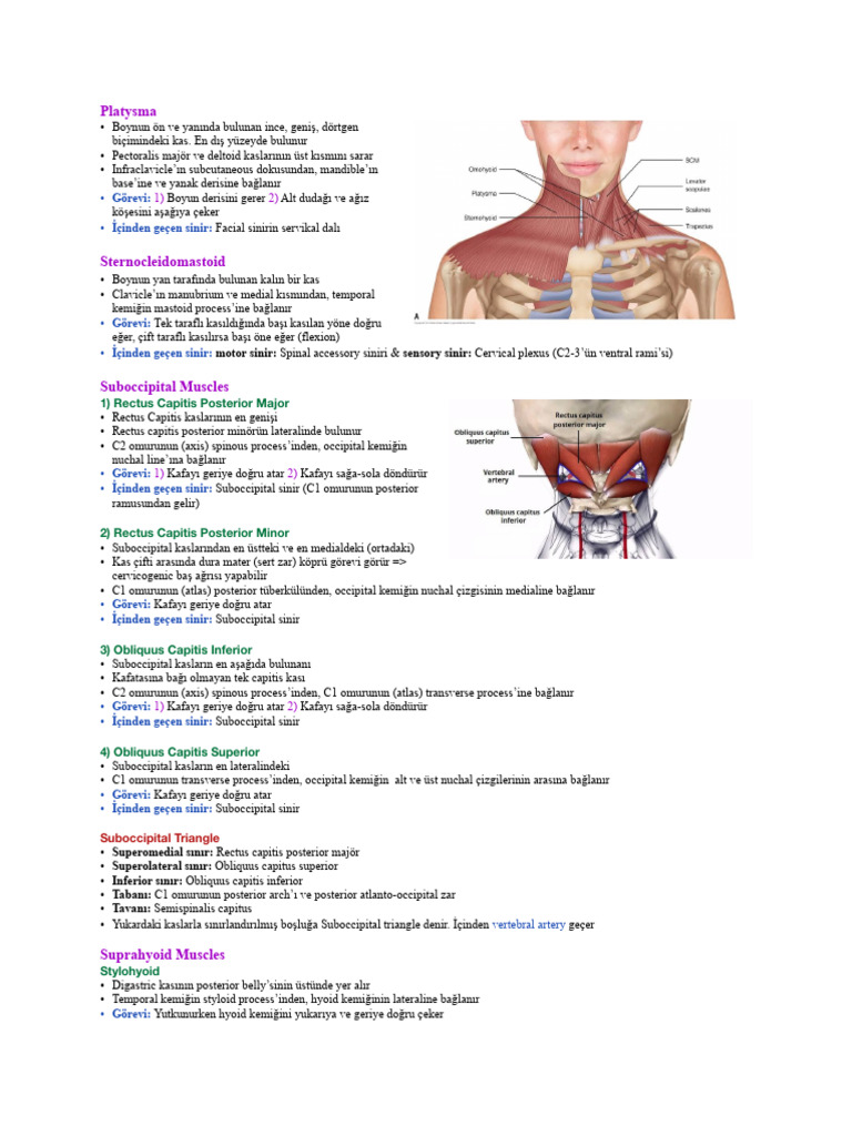 Zjakfksodl | PDF