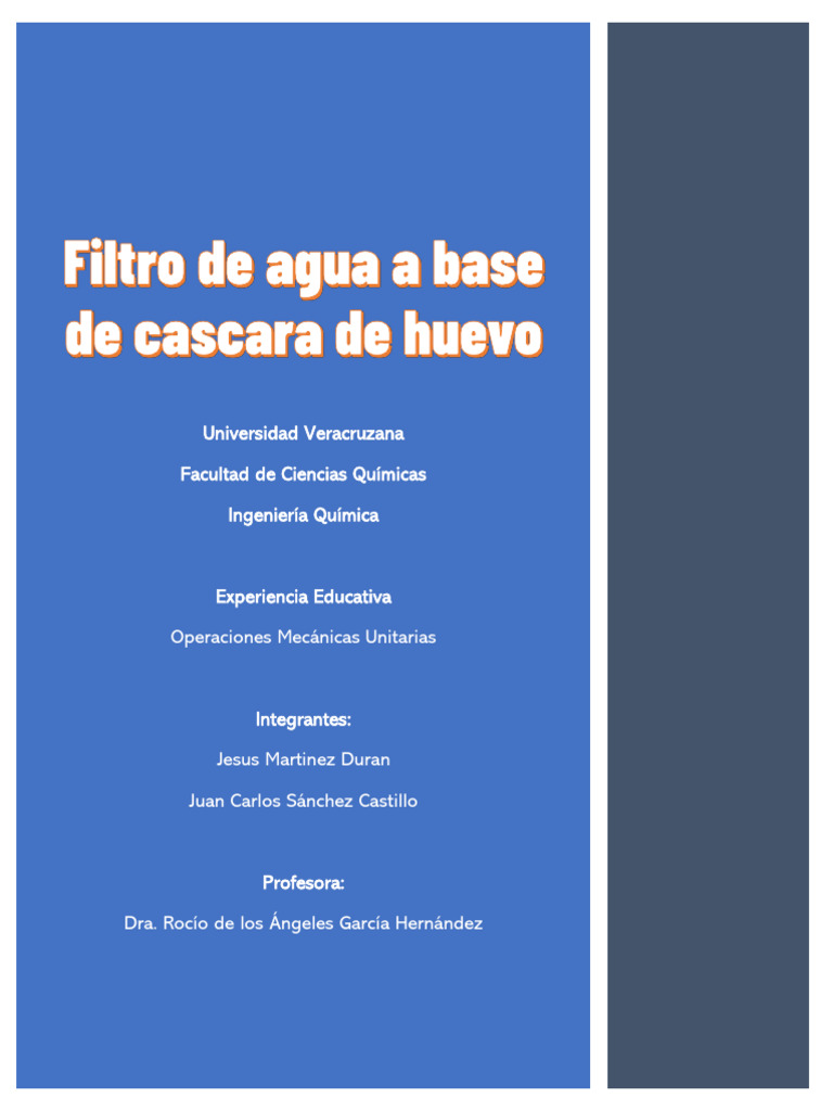 Proyecto Final OMU | PDF | Filtración | Agua