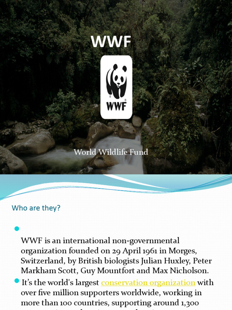 World Wildlife Fund WWF | PDF | World Wide Fund For Nature | Sustainability