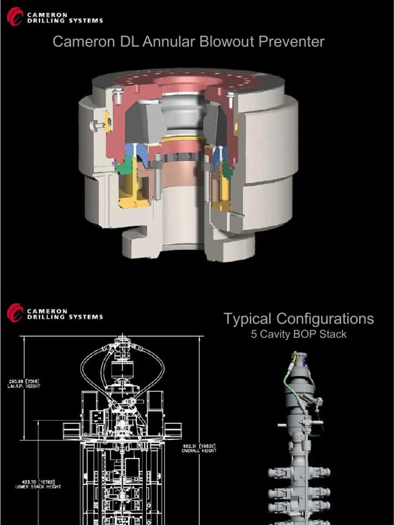 PDF Cameron DL Annular - Compress | PDF