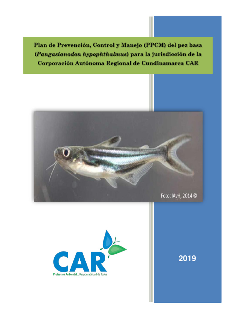 PPCM Pez Basa en Cundinamarca 2019 | PDF | Colombia | Especies invasivas