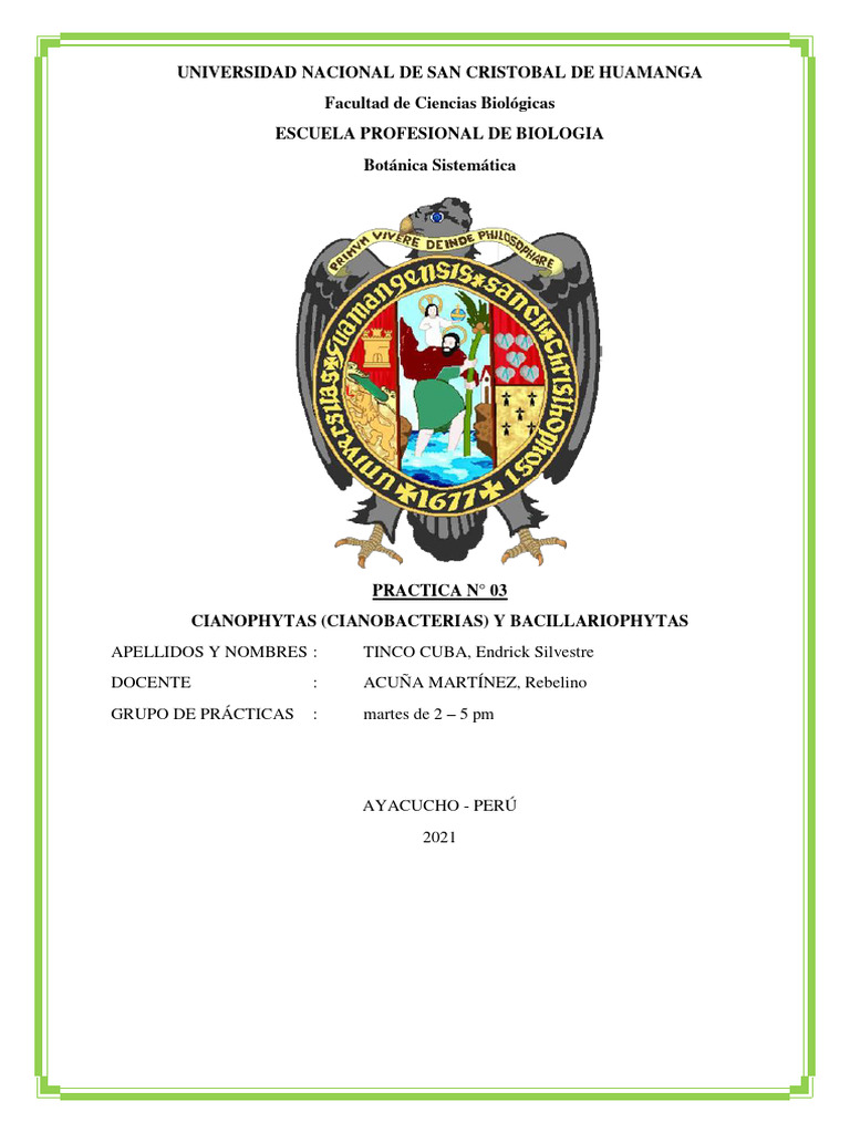 Cianofitas y Bacilariofitas: Práctica Biológica | PDF | Cianobacterias ...