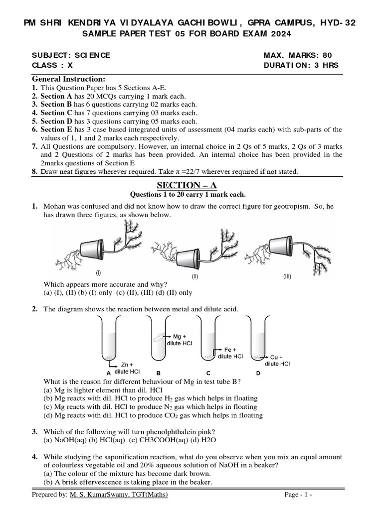 Science Class X Sample Paper Test 05 For Board Exam 2024 1 | PDF ...