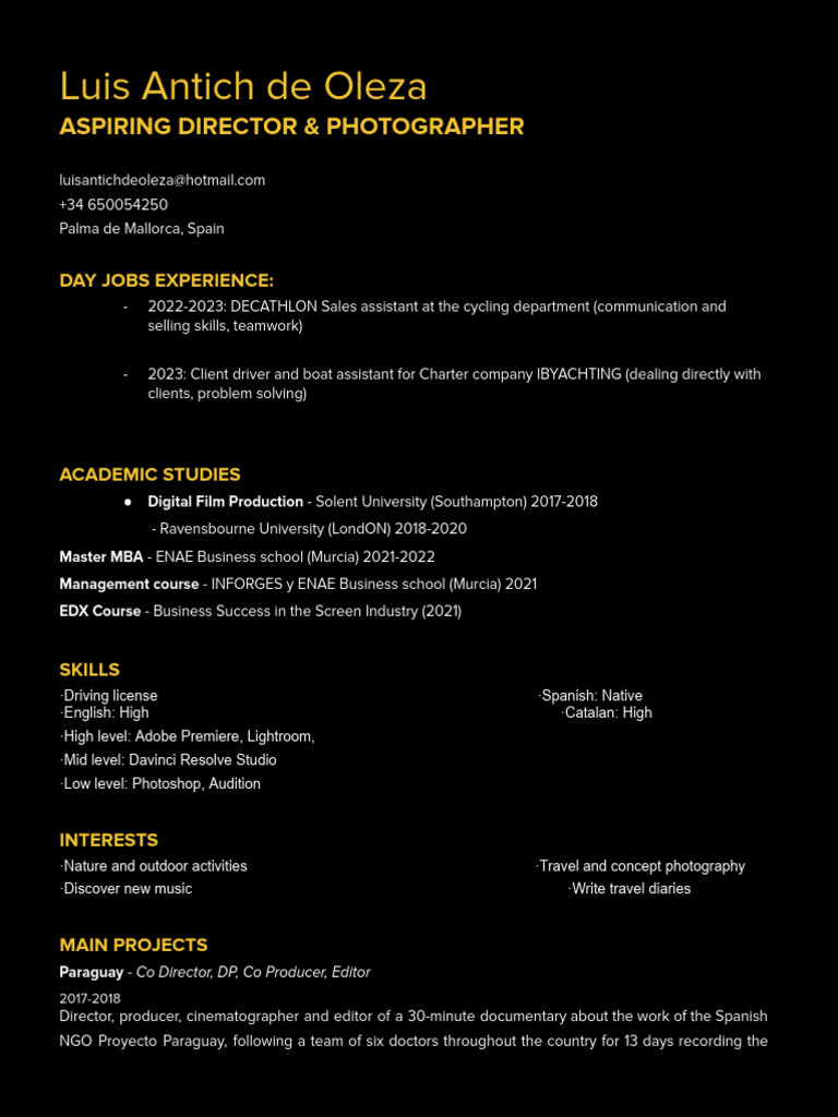 CV Luis Antich | PDF