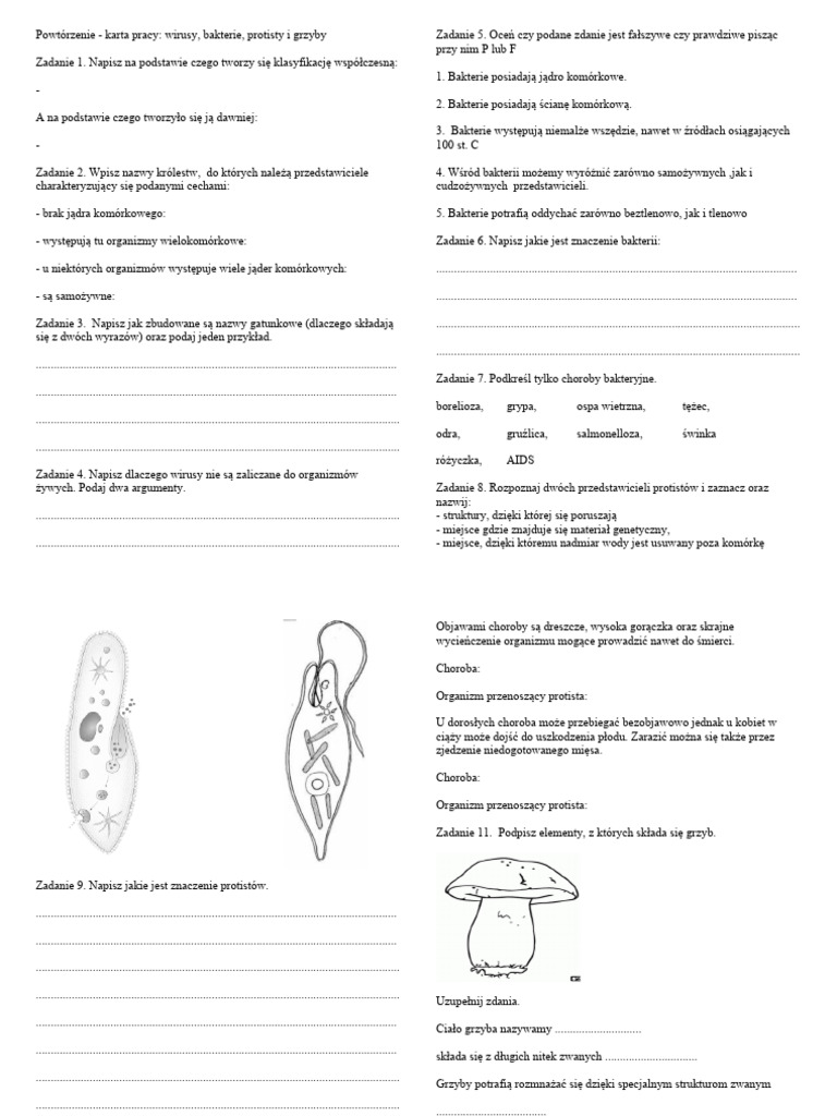 Powtórzenie - 5 Klasa Wirusy, Bakterie, Grzyby | PDF Powtórzenie - 5 Klasa Wirusy, Bakterie, Grzyby | PDF
