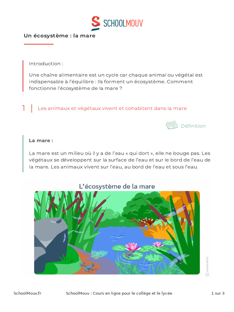 Un Ecosysteme La Mare - Fiche de Cours | PDF | Lac de barrage | Réseau ...