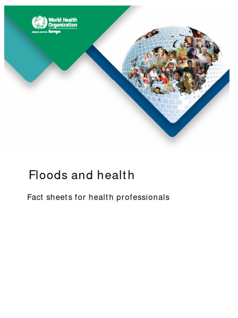 Floods and Health Fact Sheets For Health Professionals | PDF | Toilet ...