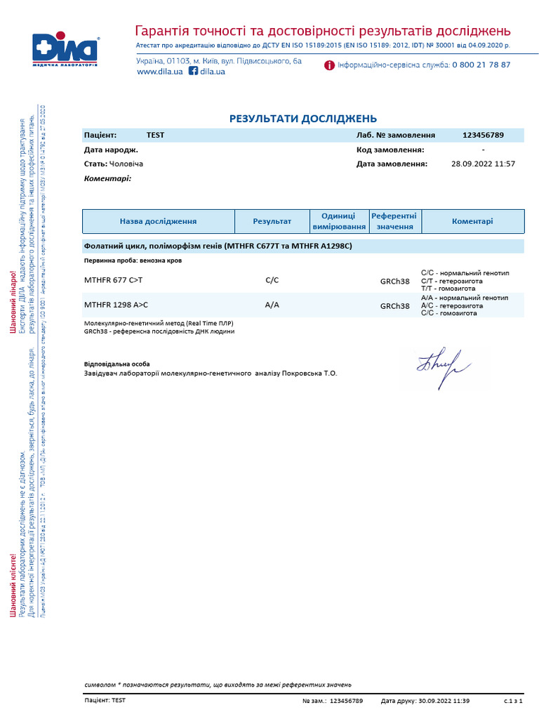 Result Example | PDF