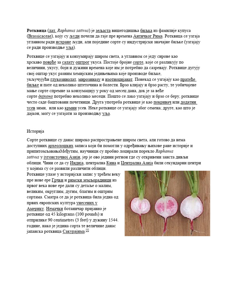Rotkvica | PDF