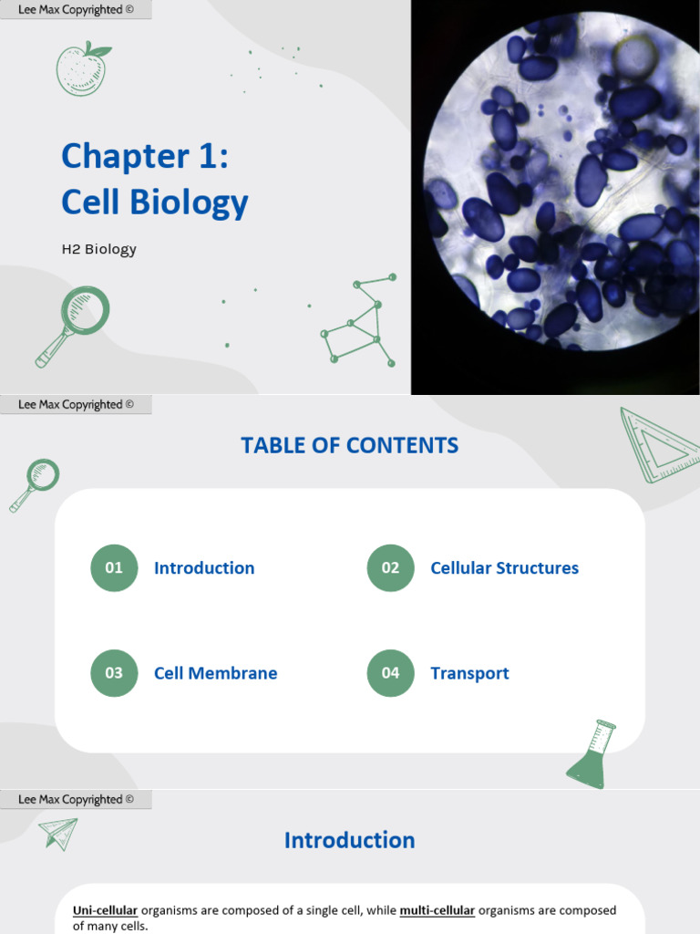 (H2 Bio) Chapter 1 Cell Biology | PDF | Cell Membrane | Cell (Biology)