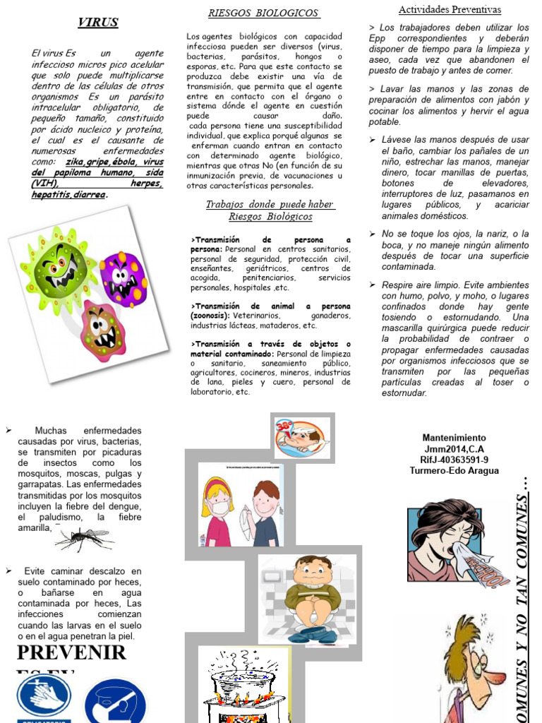 Triptico de Virus Comunes | PDF | Virus | Infección