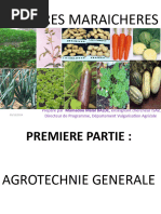 Culture Du Macabo | PDF | Fertilisant | Maïs