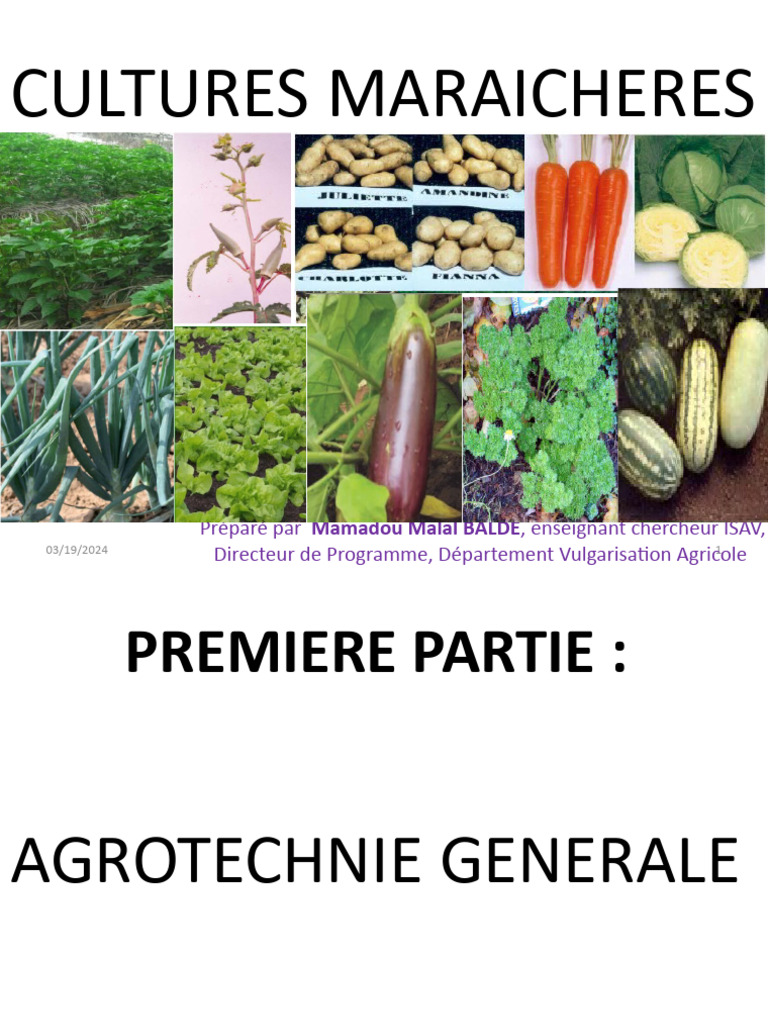 Cultures Maraîchères : Guide Pratique | PDF | Semis | Sol (pédologie)