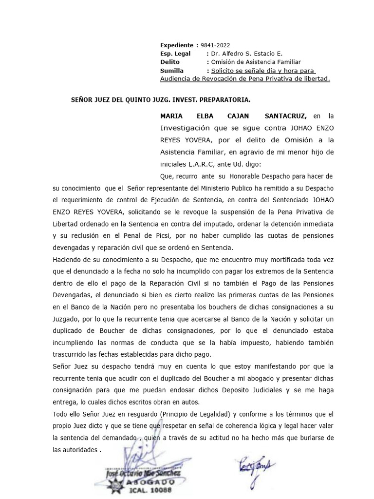 Audiencia por Omisión de Asistencia Familiar | PDF | Sentencia (ley ...