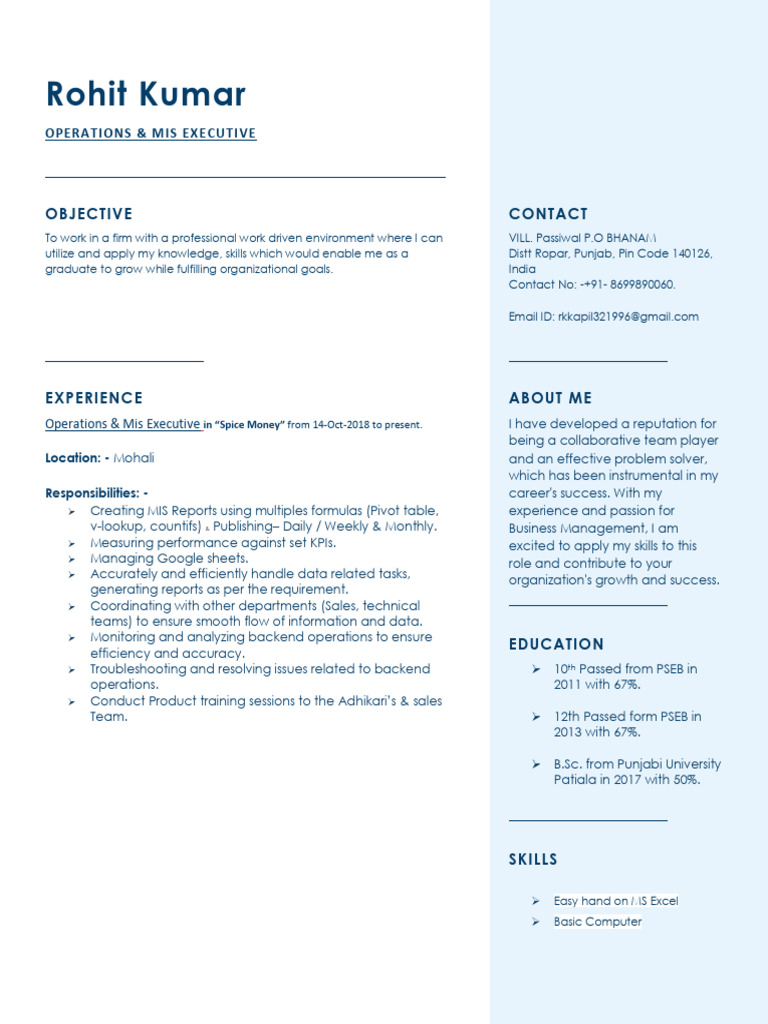 Operations & MIS Executive Resume | PDF | Computing
