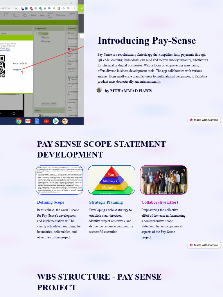 Introducing Pay Sense | PDF | Business