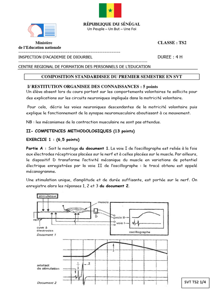 Devoir SVT TS2 : Composition Semestre 1 | PDF | Muscle | Contraction du ...