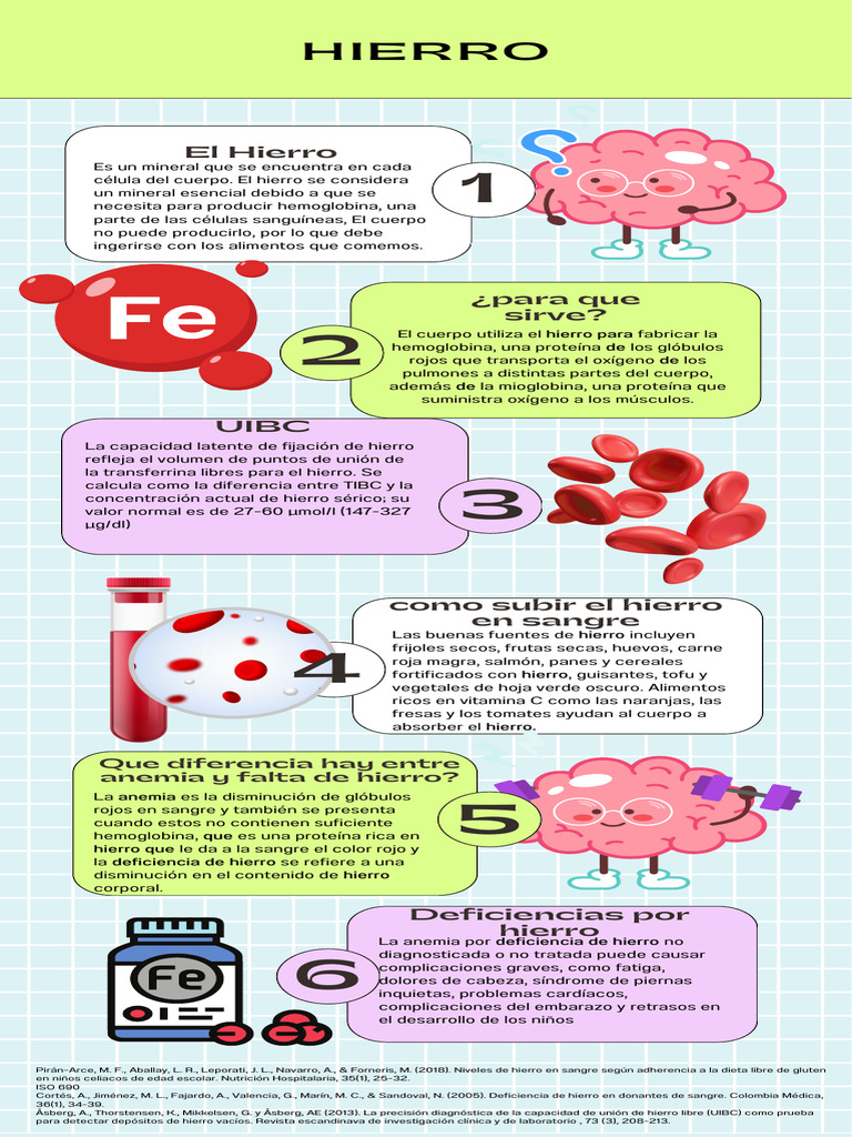 Hierro | PDF | Hierro | Sangre