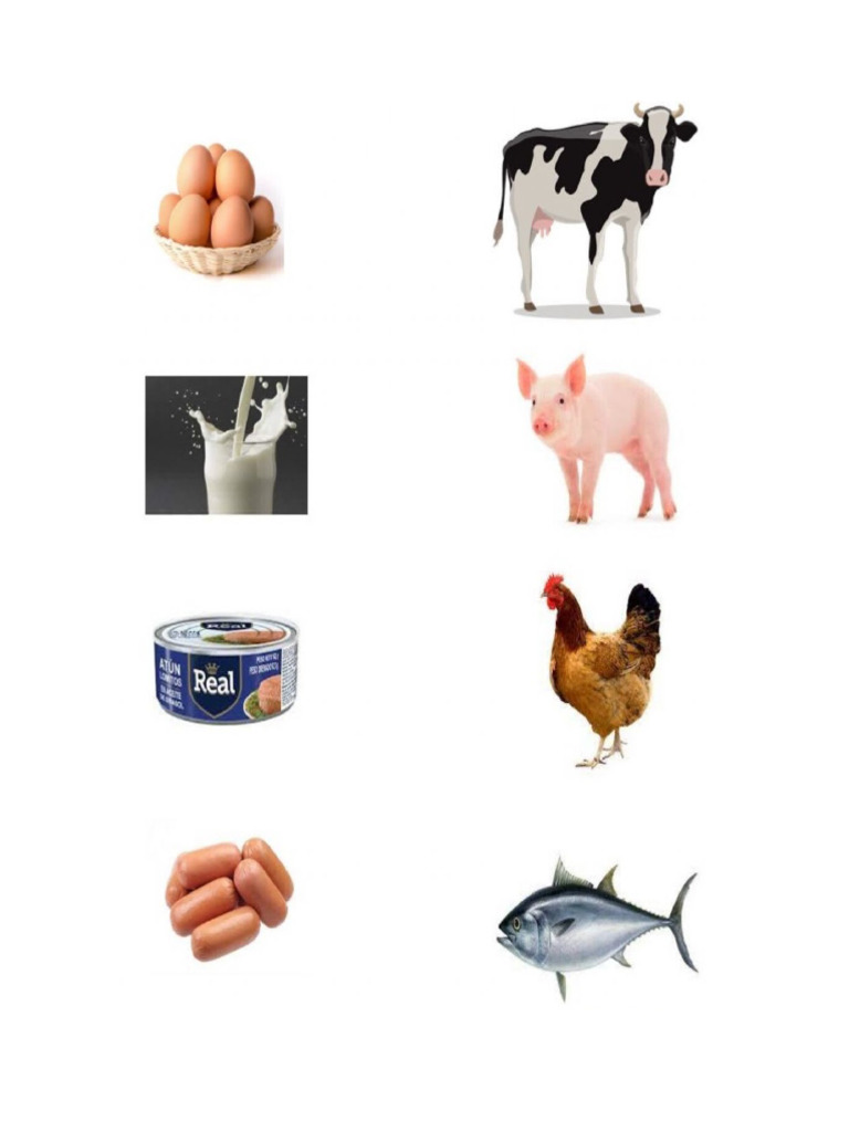 Alimnetos Origen Animal | PDF