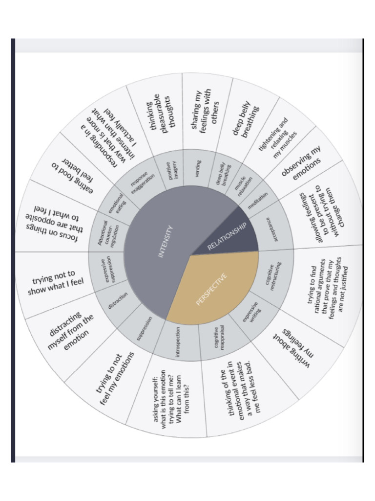 emotion wheel | PDF