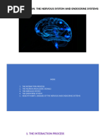 Animal Classification Charts | PDF | Invertebrate | Egg
