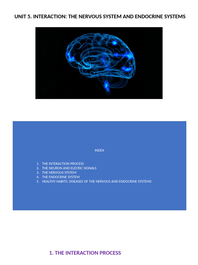 Unit - 5 - Nervous and Endocrine Systems | PDF | Nervous System | Neuron