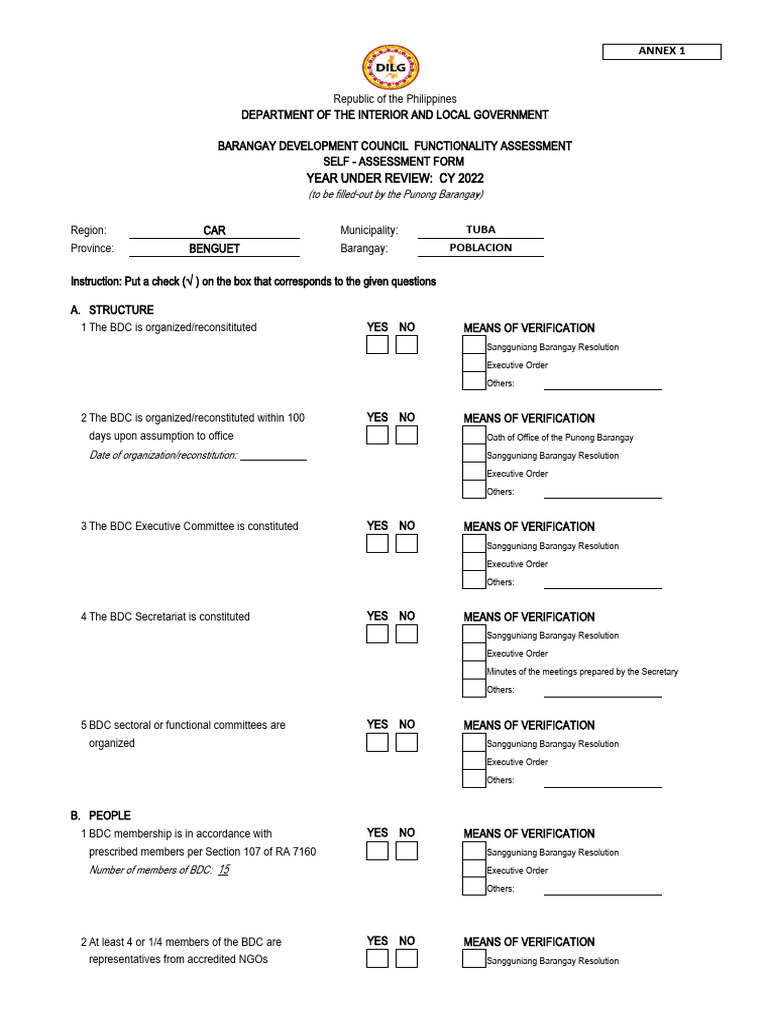 7 BDC Functionality Asessment Form | PDF | Governance | Government