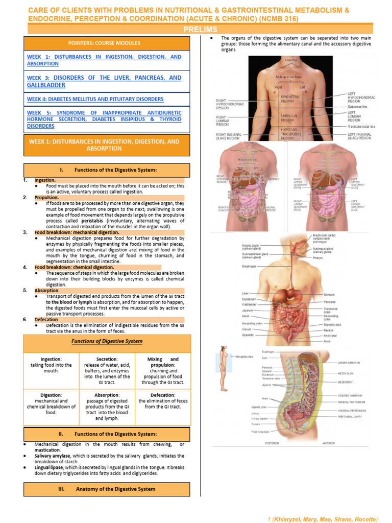 NCMB 316 | PDF | Stomach | Digestion