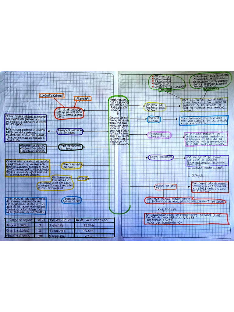 Facturación y Auditoría en Salud Doris | PDF