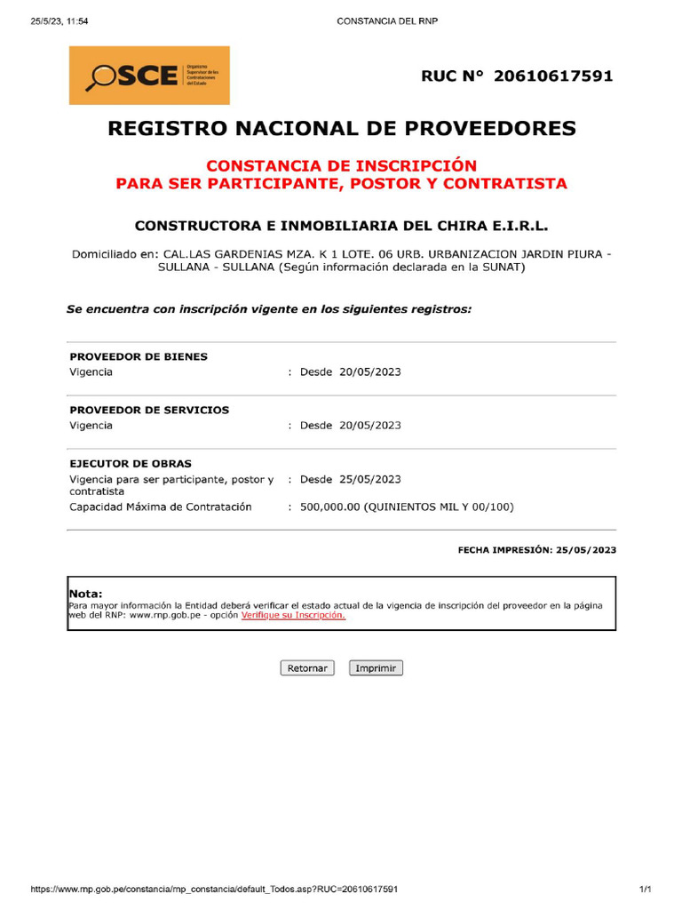 CONSTANCIA DEL RNP Y EJECUTOR DE OBRA | PDF