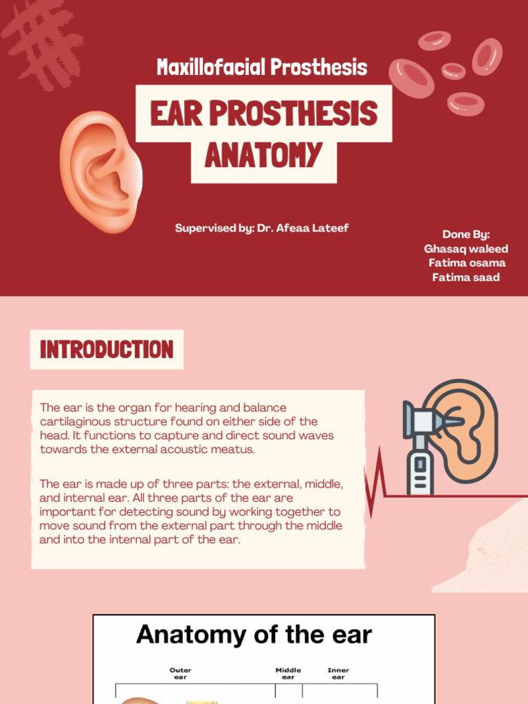 Ear prosthesis | PDF | Ear | Senses