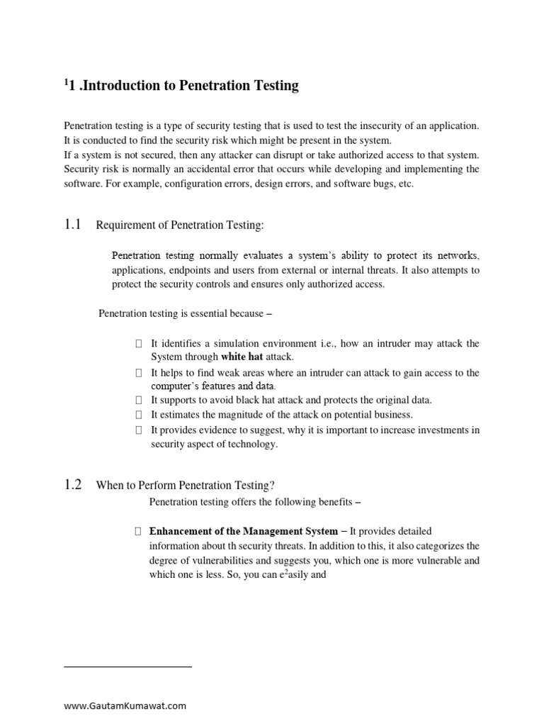 Web Security Audit Basics Pdf Penetration Test Security