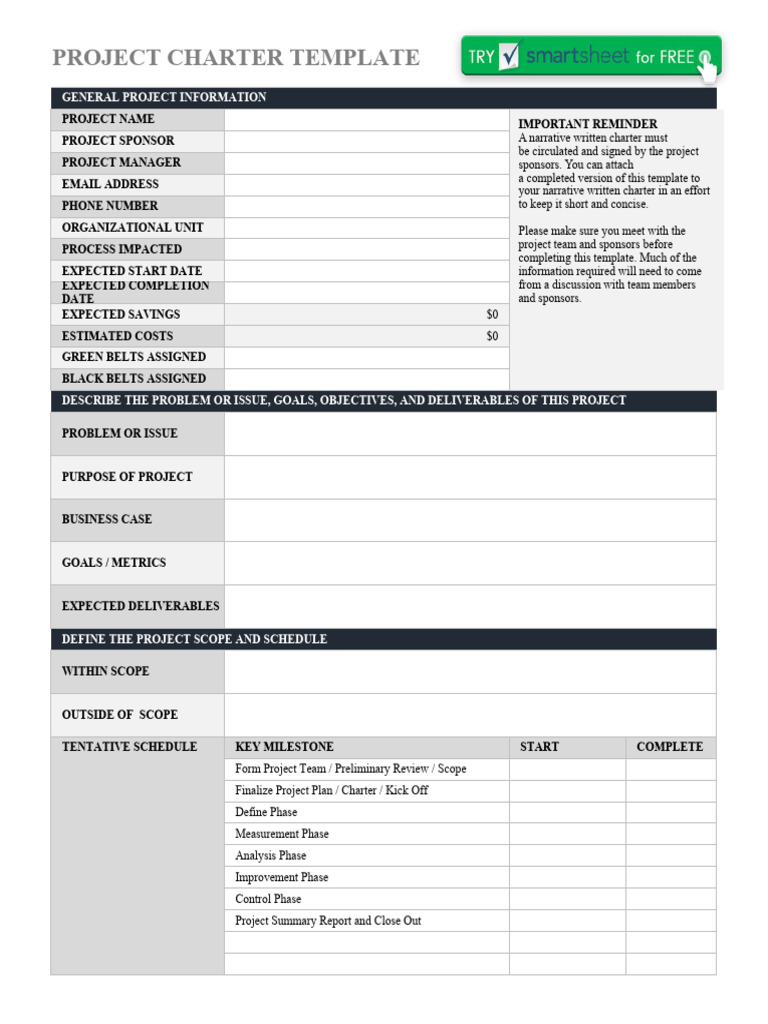 IC Project Charter Excel Template 8719 | Download Free PDF ...