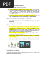 HEAT Bula Rev07 26-08-21 | PDF | Batata | Enzima