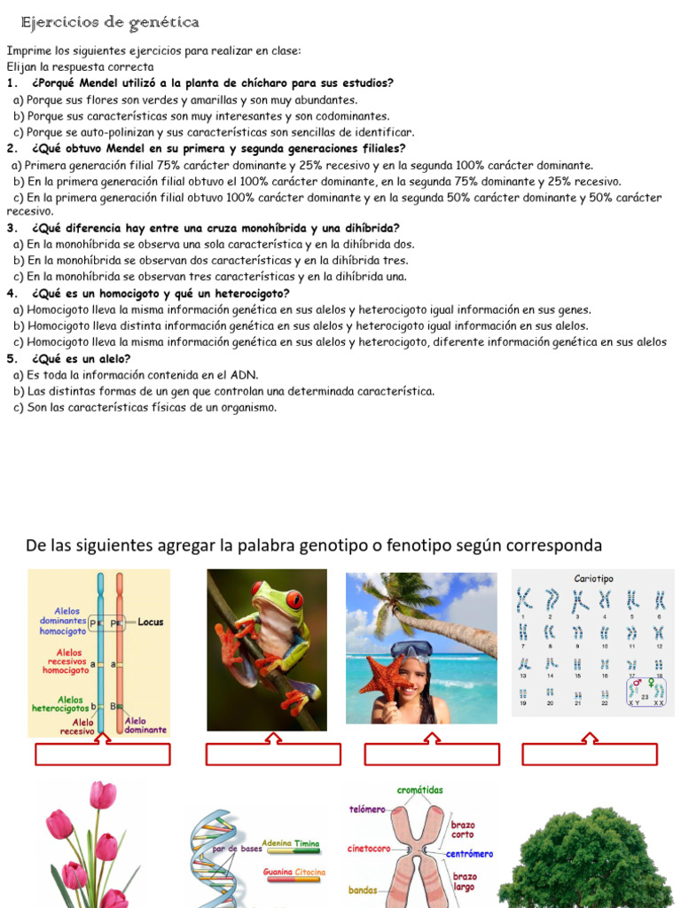 ejercicio_genetica | PDF | Dominancia (Genética) | Cigosidad