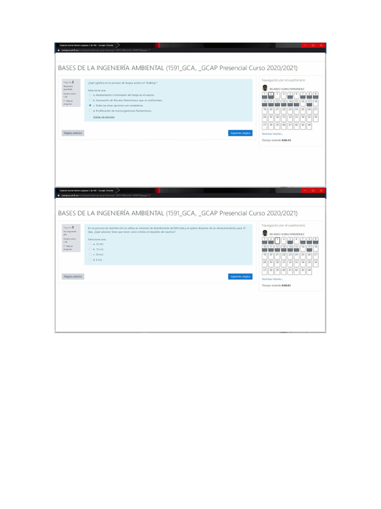 Examen Teoria Febrero Bases | PDF