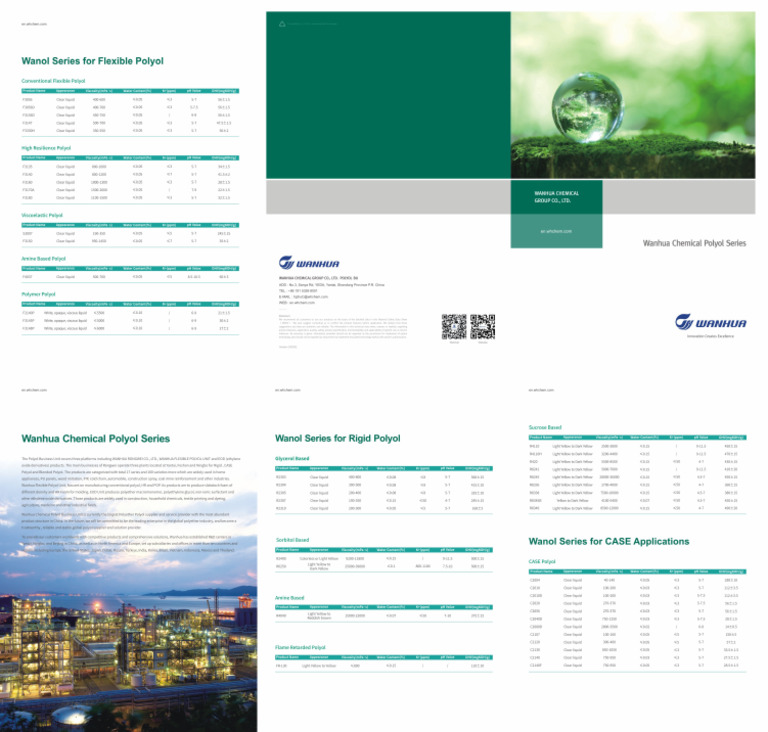 Wanhua Polyol Brochure 2023 | PDF