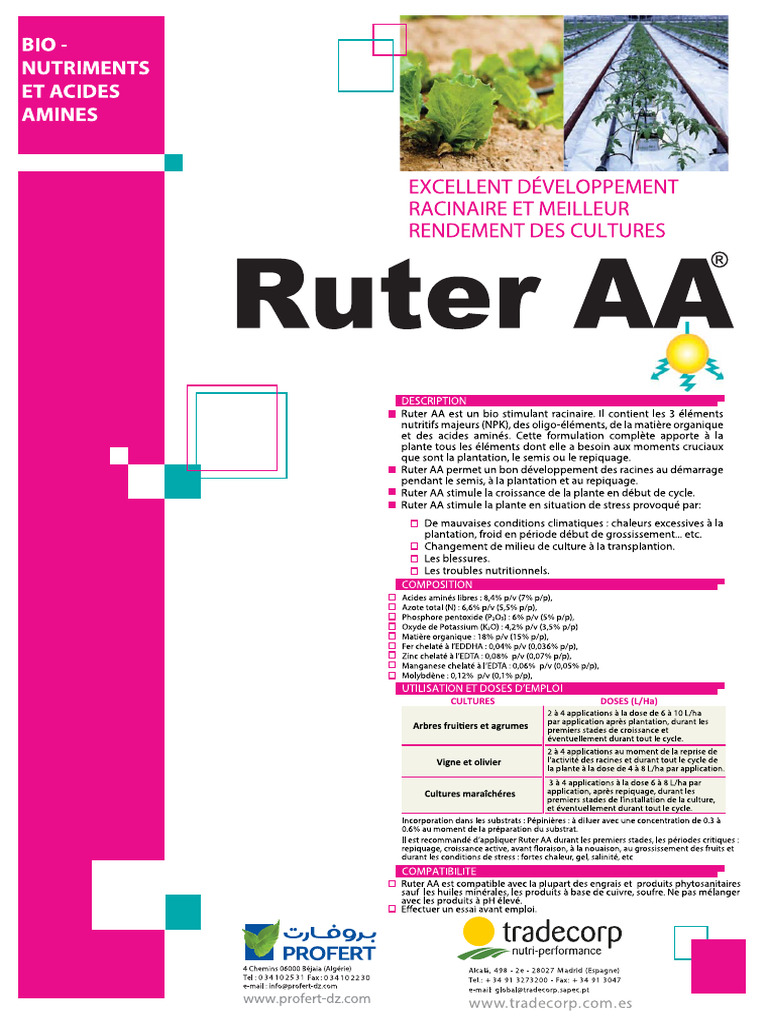 Ruter AA, Français | PDF