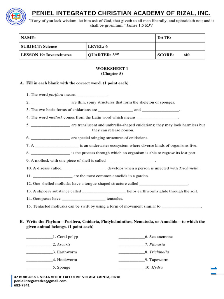 q3 Ww1 Science 6 | PDF | Invertebrate | Biology