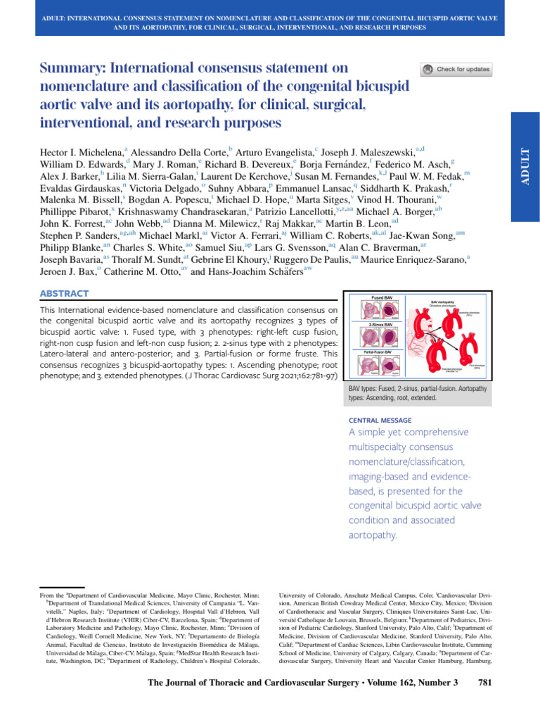 Bicuspid Aortic Valve Classification Guide | PDF | Heart Valve ...