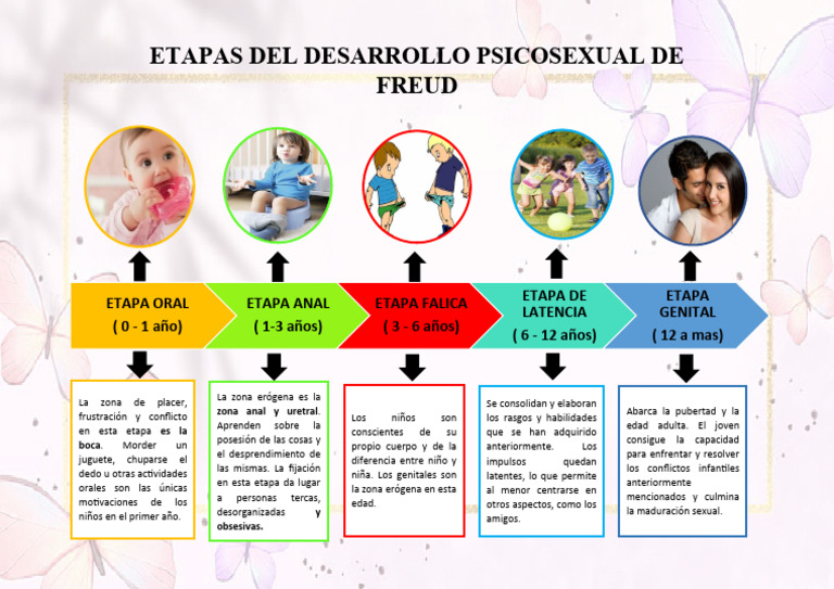 Etapas de Desarrollo Freud | PDF | Sicología | Ciencias del comportamiento