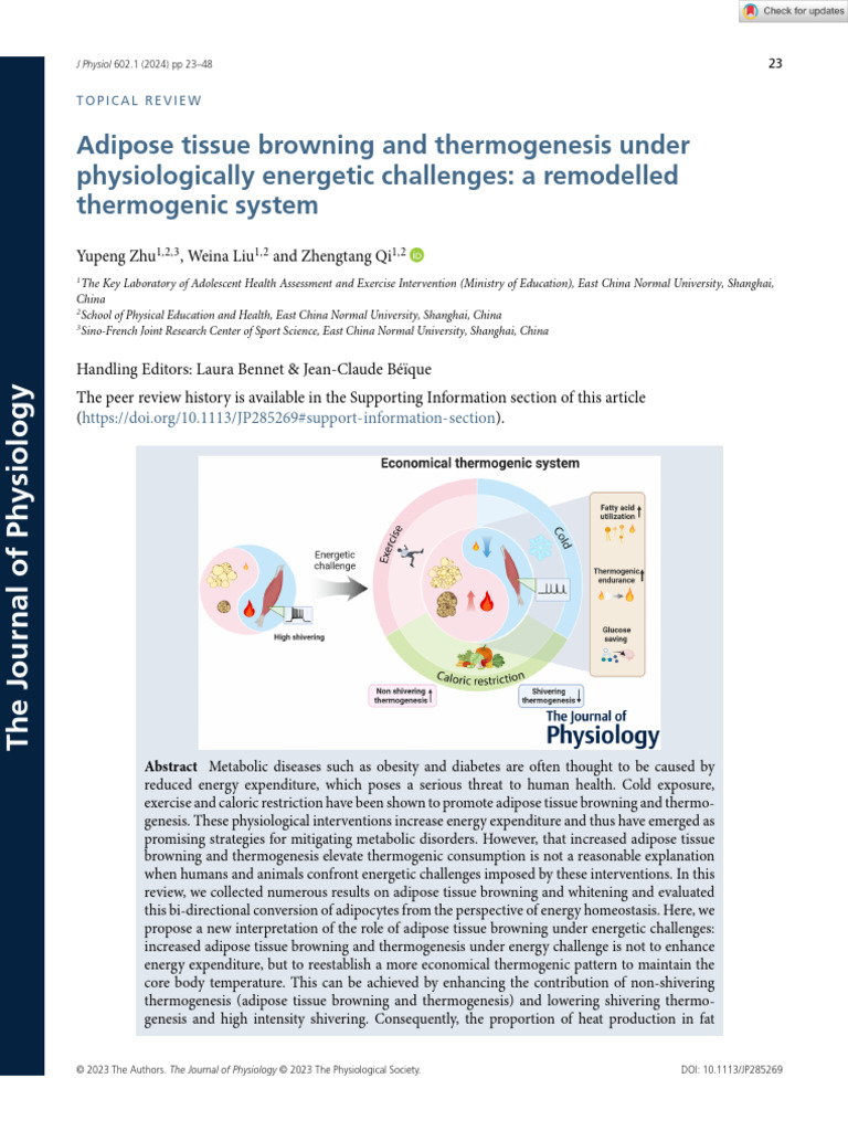 The Journal of Physiology - 2023 - Zhu - Adipose Tissue Browning and ...