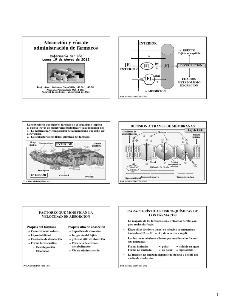 CT02 CT03 Transporte Absorcion GD | PDF | Medicamentos con receta | Tableta (Farmacia)